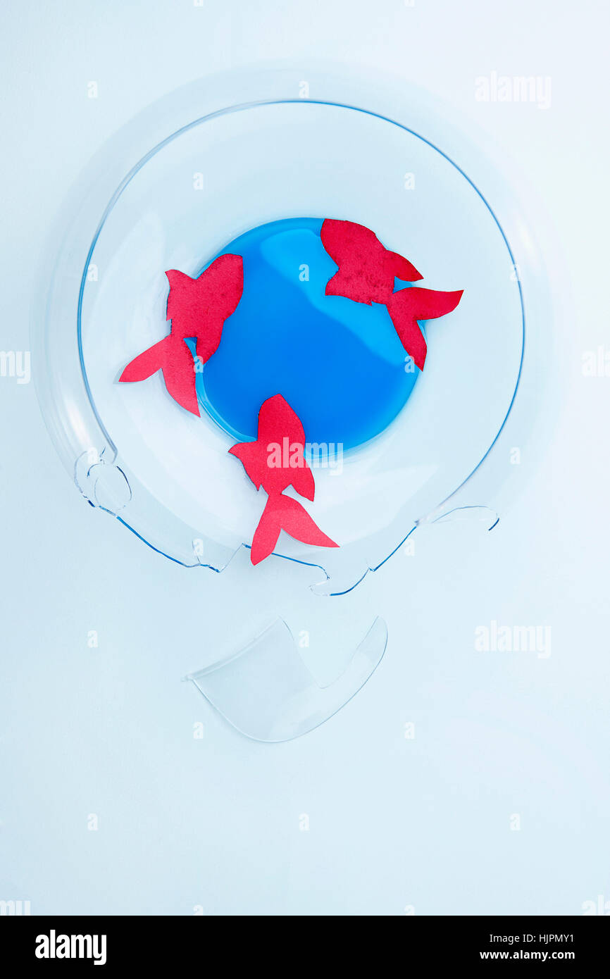 Broken fish tank hi-res stock photography and images - Alamy