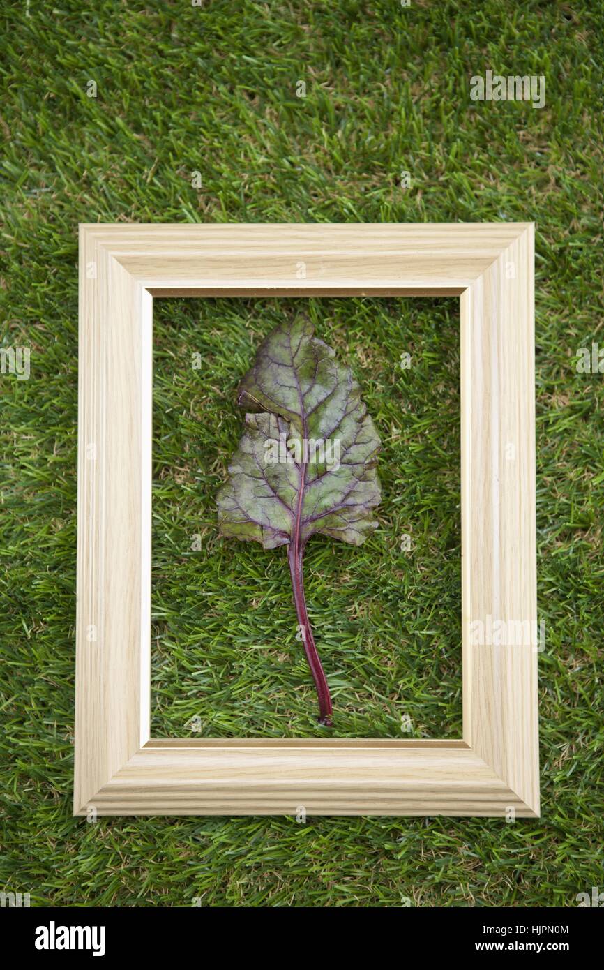 Cut out frame hi-res stock photography and images - Alamy