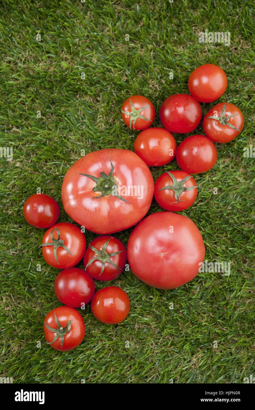 cut out tomato Stock Photo - Alamy