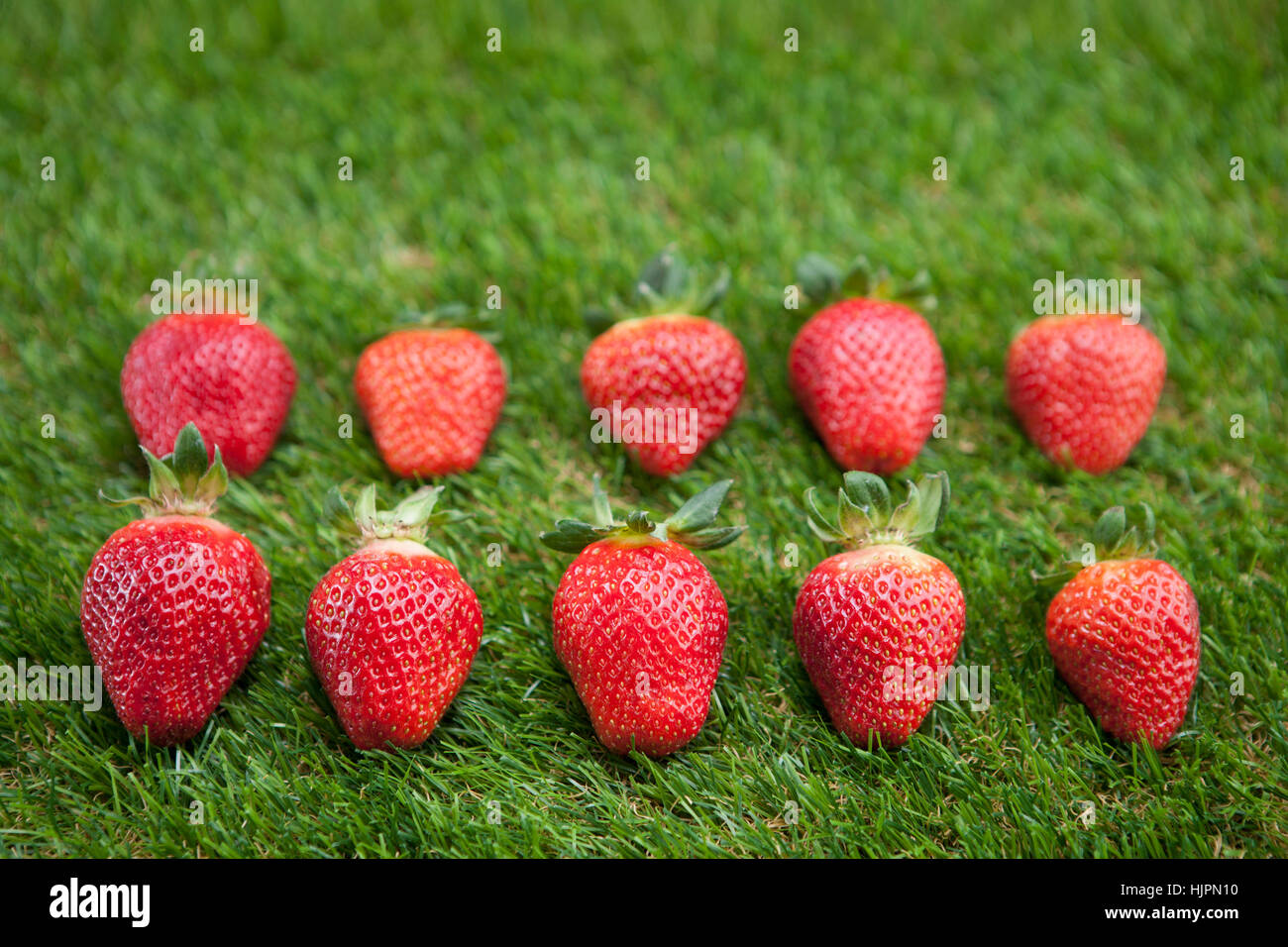kinds of fruit group of objects Stock Photo - Alamy