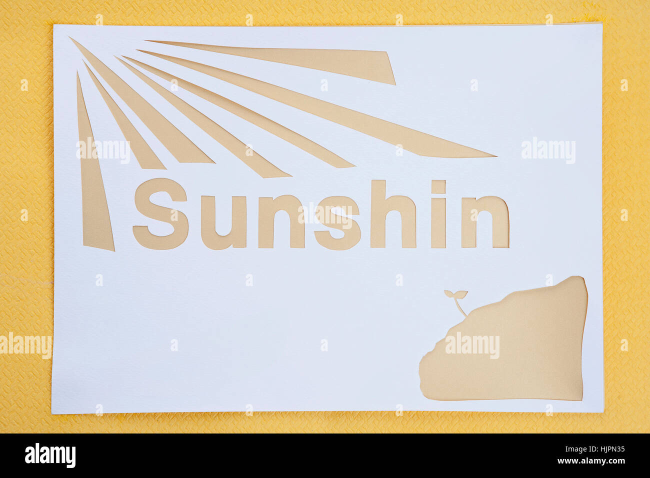 Seedling with sunbeam hi-res stock photography and images - Alamy