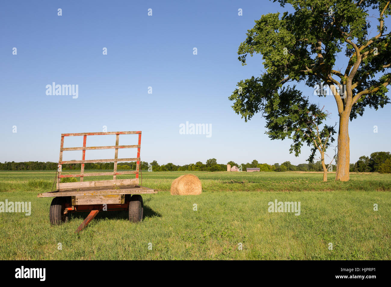Bale tree hi-res stock photography and images - Alamy