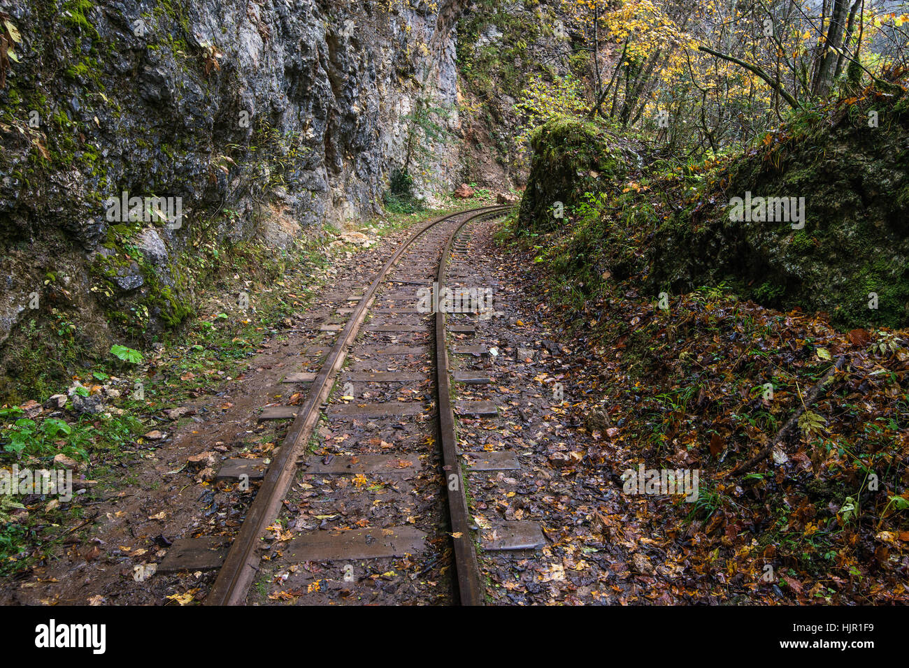 Railroad tracks go through autumn mountain forest Stock Photo - Alamy
