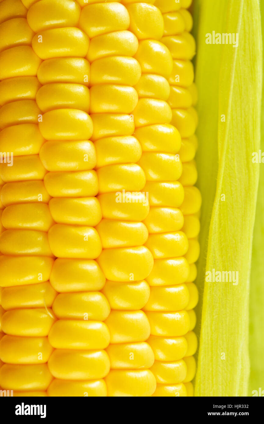 Golden sweet corn closeup Stock Photo - Alamy