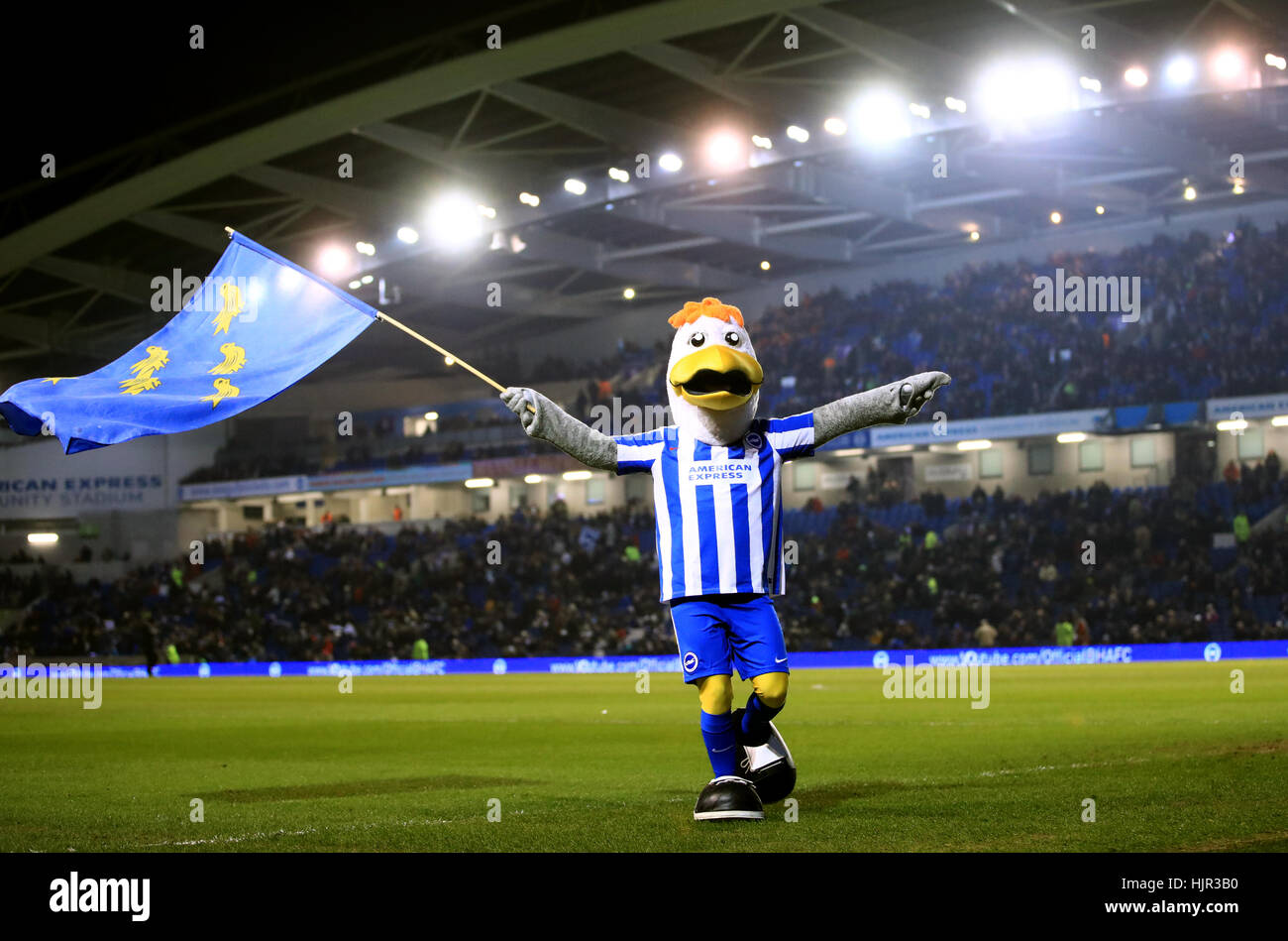 Brighton and hove albion mascot hi-res stock photography and images - Alamy