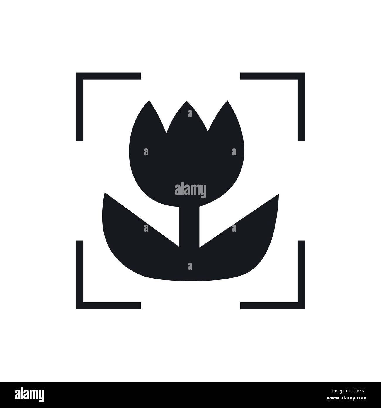 Cinematic macro Cut Out Stock Images & Pictures - Alamy