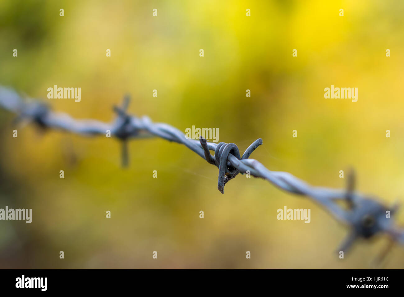 Single strand of barbed wire fence against an Autumn colours background ...