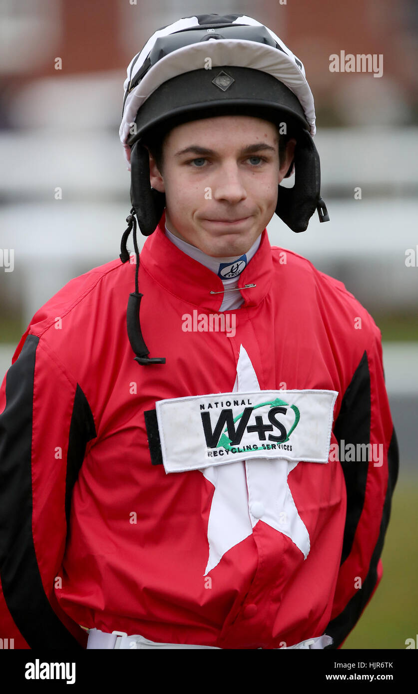 Mr rex hi-res stock photography and images - Alamy