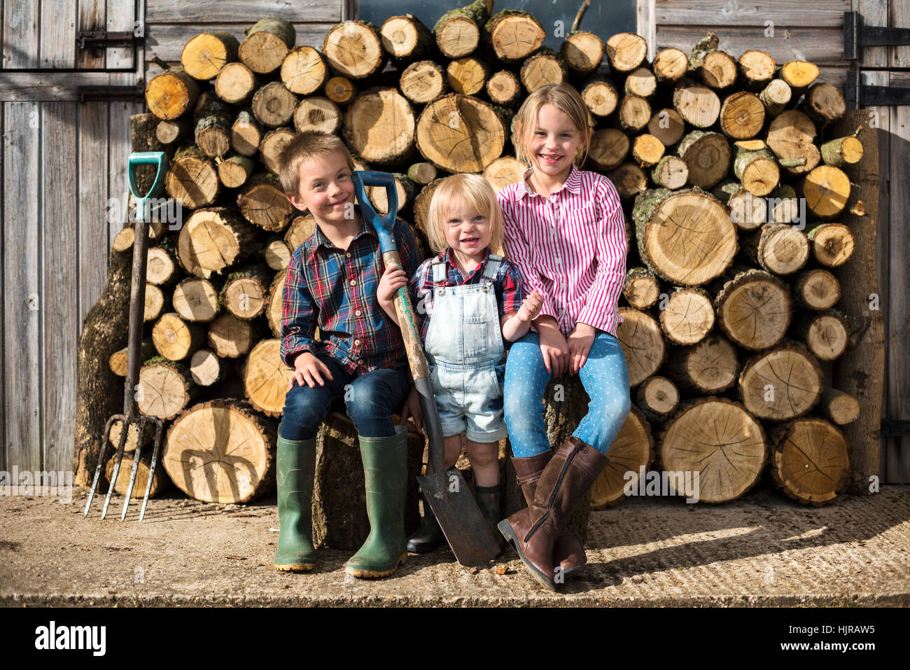 Firewood Fuelwood Lumber Timber Lumber Log Concept Stock Photo - Alamy