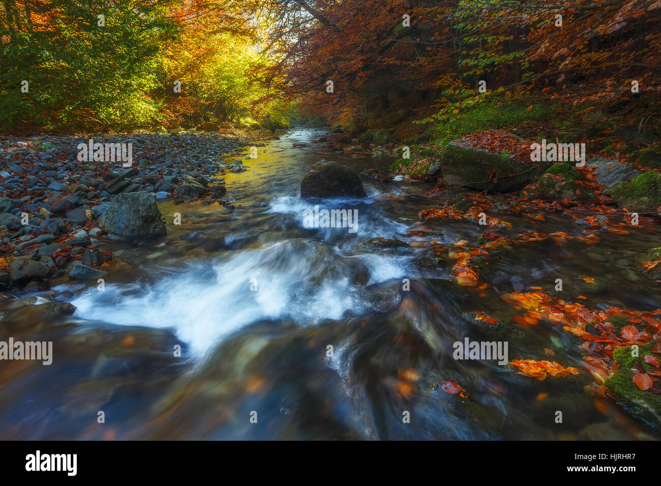 Irati river in Irati forest natural park Stock Photo - Alamy