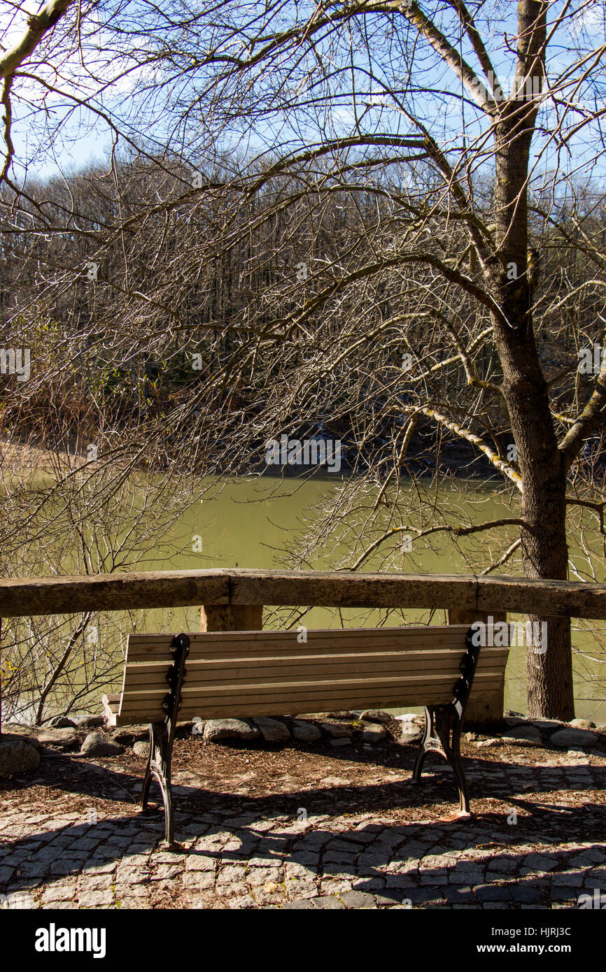 Wooden park bench at a park Stock Photo - Alamy