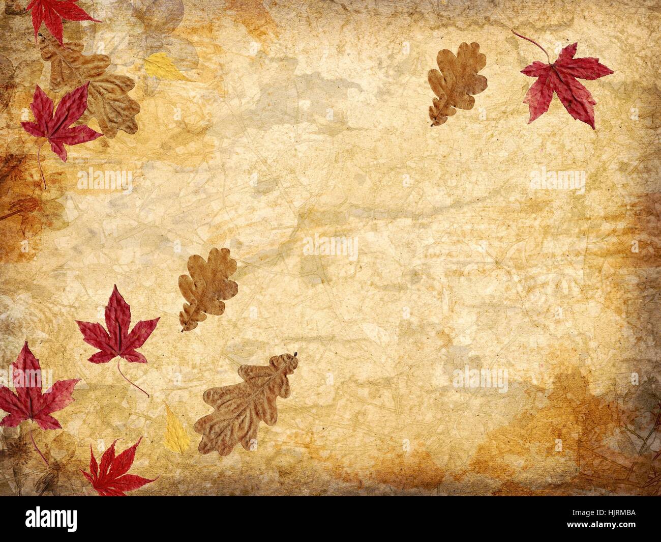 leaves, nostalgic, autumn foliage, season, backdrop, background ...