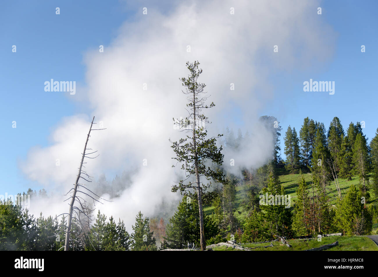 environment, enviroment, summer, summerly, america, geyser, colors ...