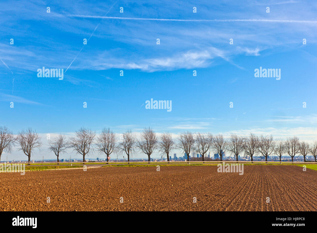 tree, trees, agriculture, farming, field, skyline, farm, fall, autumn ...