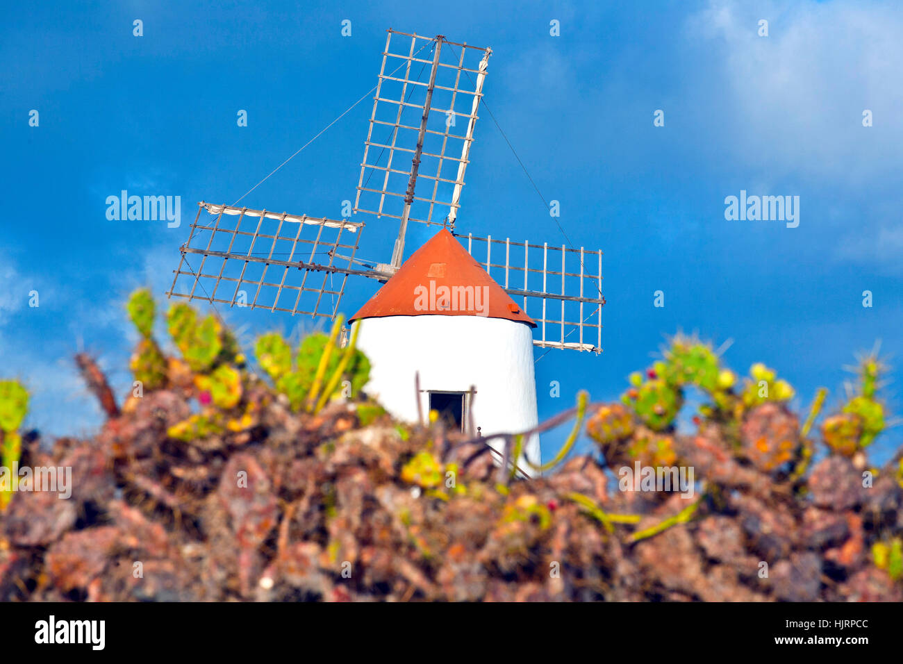 blue, garden, windmill, mill, blue, environment, enviroment, garden ...