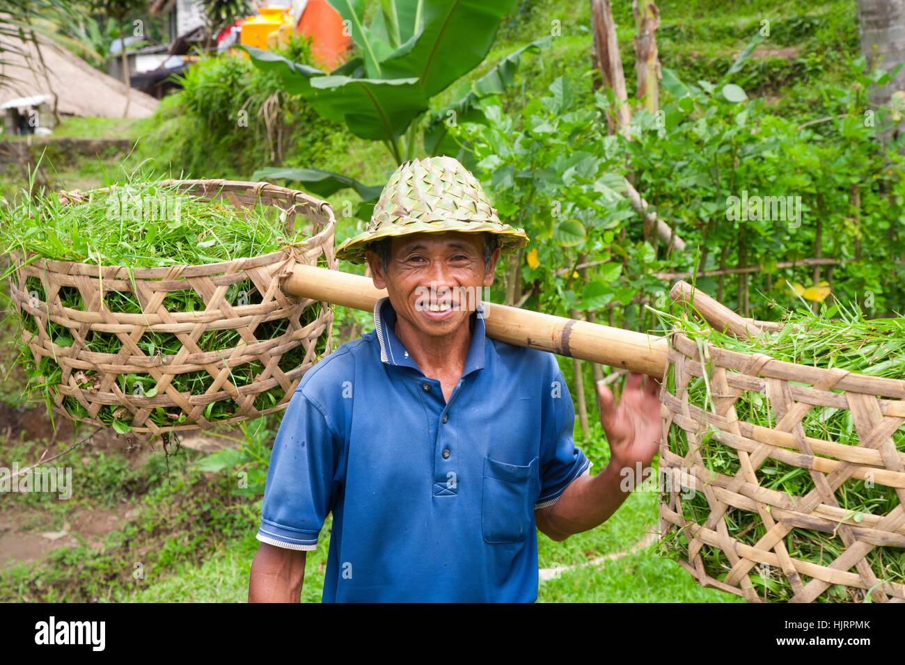 hill, asia, male, masculine, agriculture, farming, field, portrait ...