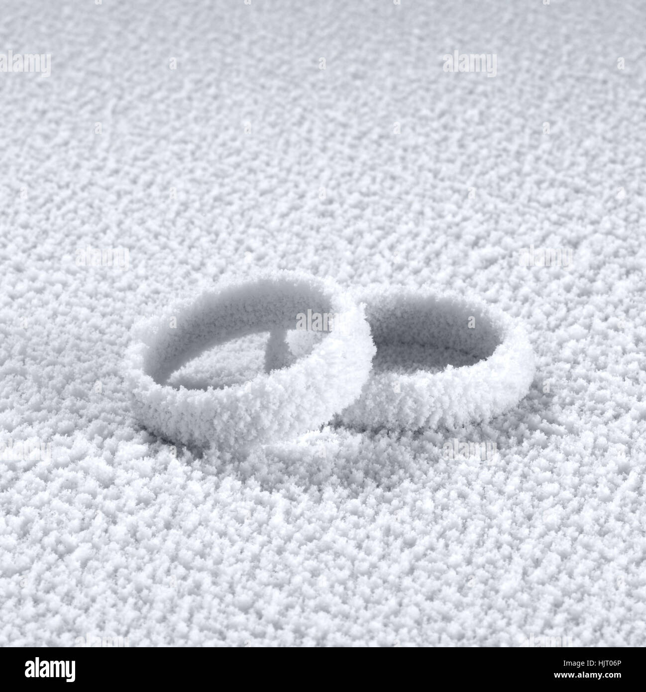 cold wedding rings Stock Photo - Alamy