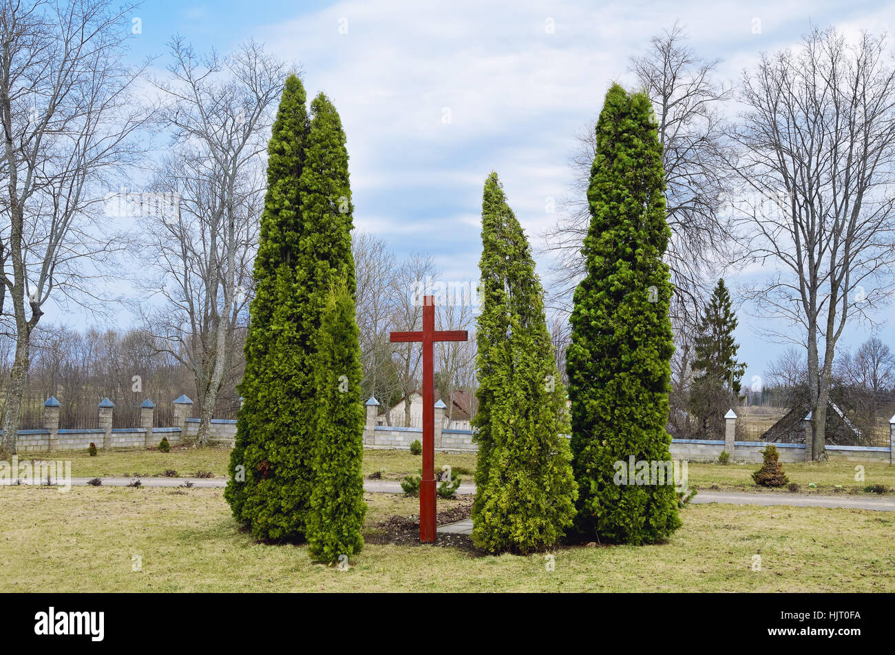 religion, religious, tree, cross, outdoor, evergreen, nobody ...