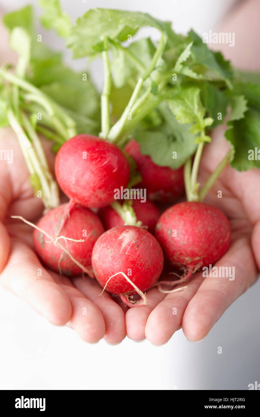 group of objects healthy lifestyle Stock Photo - Alamy