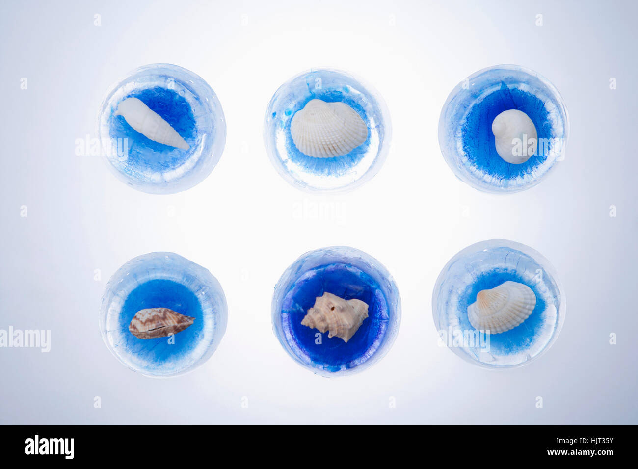 group of objects conch shell Stock Photo - Alamy