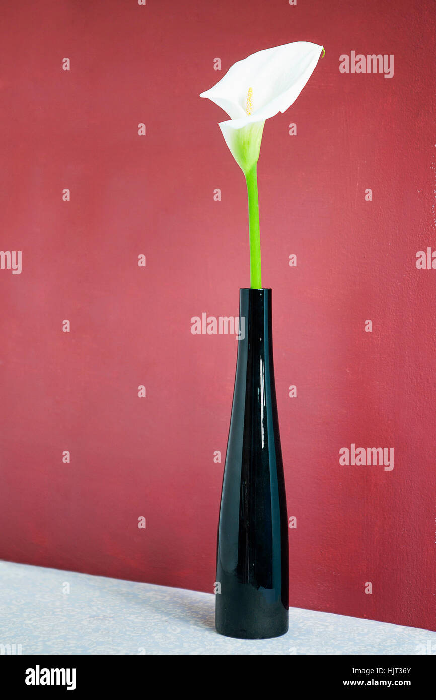 vase single flower Stock Photo - Alamy