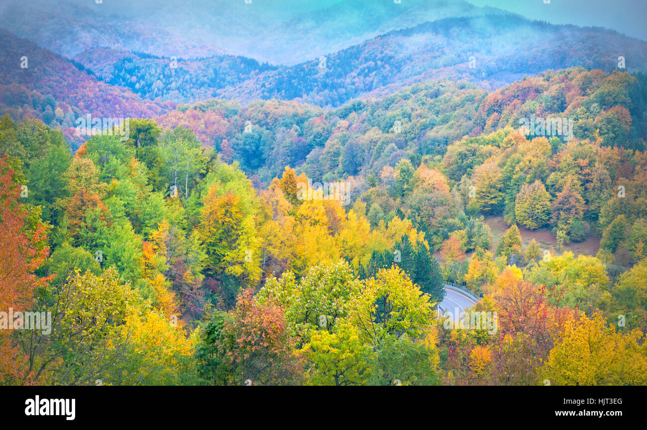 mountain autumn landscape with colorful forest Stock Photo - Alamy