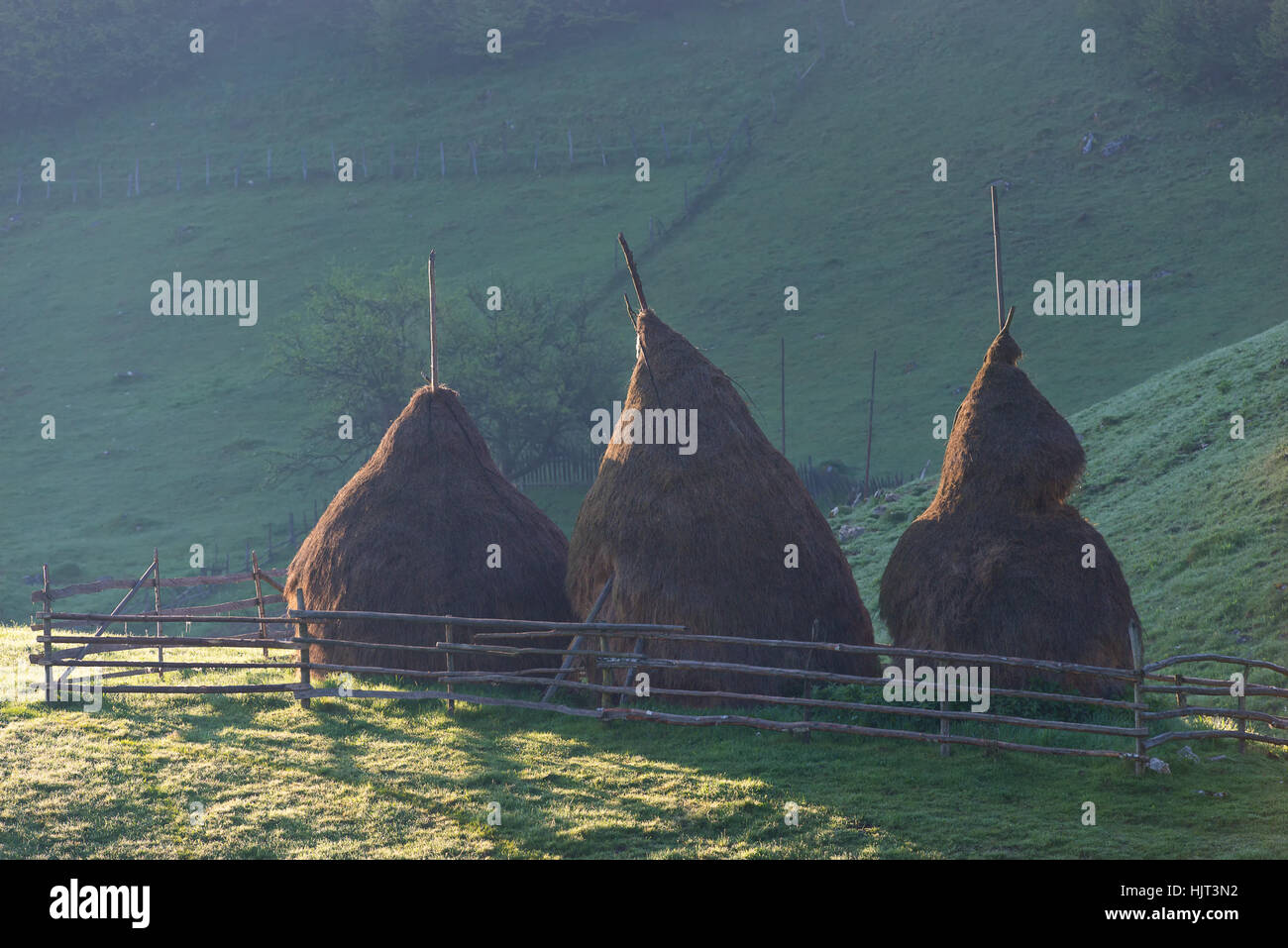 Field in forest haystacks hi-res stock photography and images - Alamy