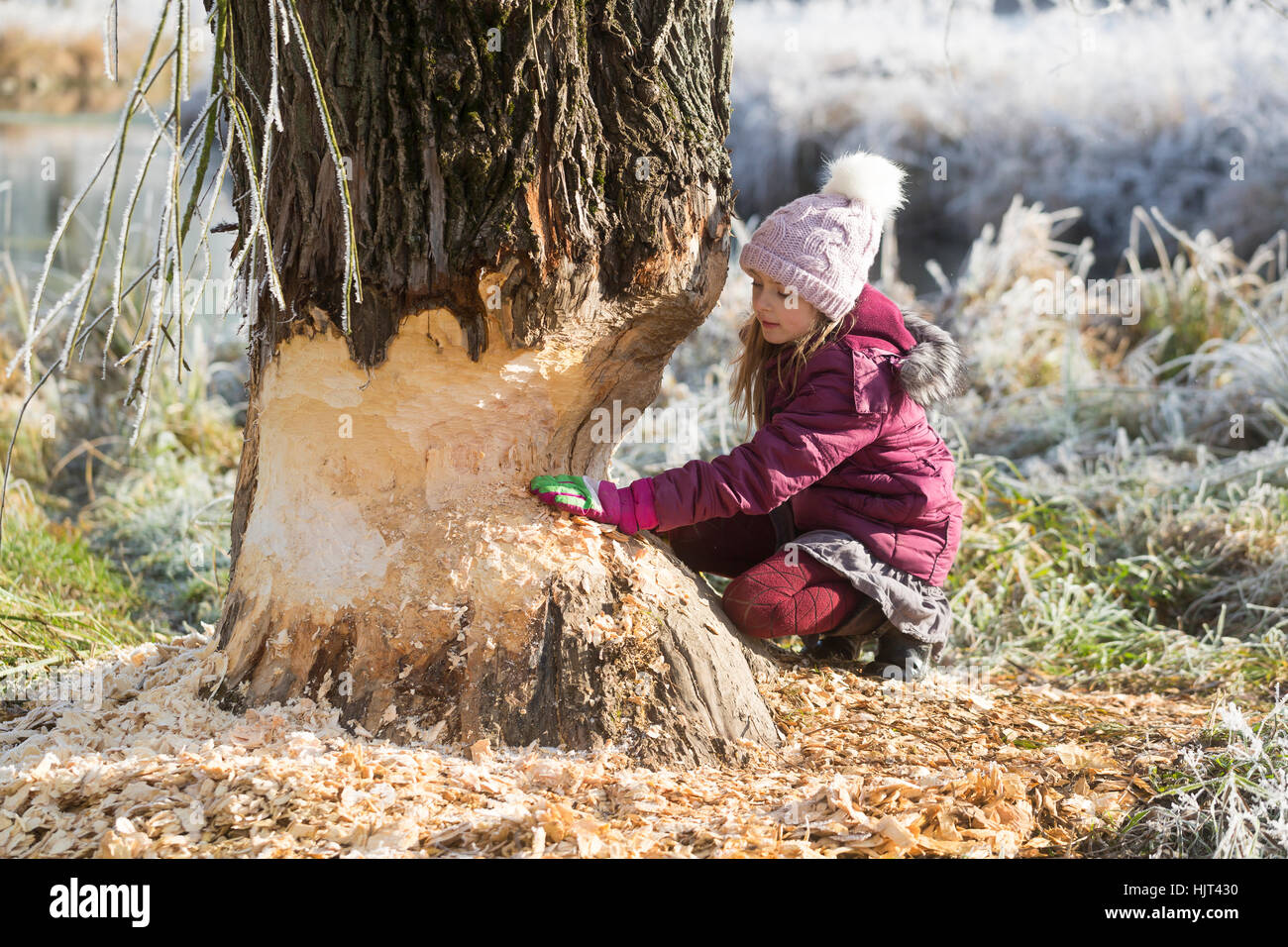 Girl touching tree trunk in winter Stock Photo - Alamy