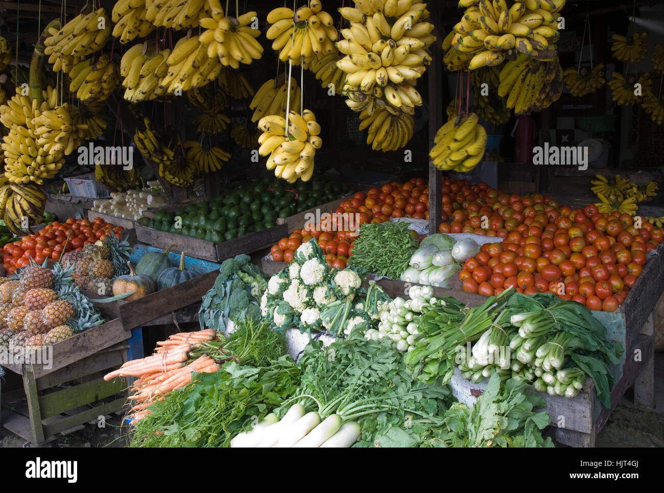 food, aliment, agriculture, farming, indonesia, freshness, fruit, booth ...