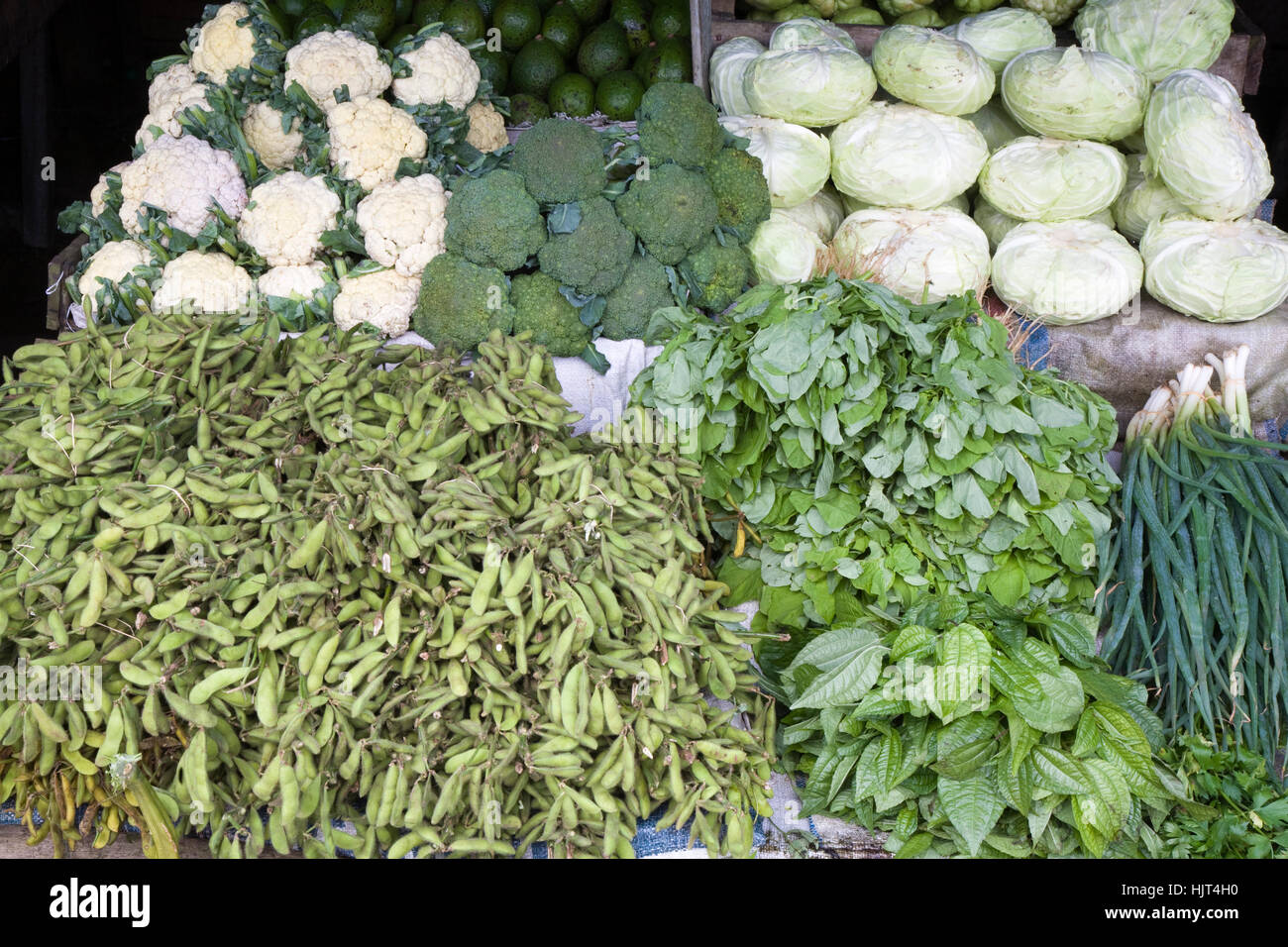 food, aliment, agriculture, farming, indonesia, freshness, fruit, booth ...
