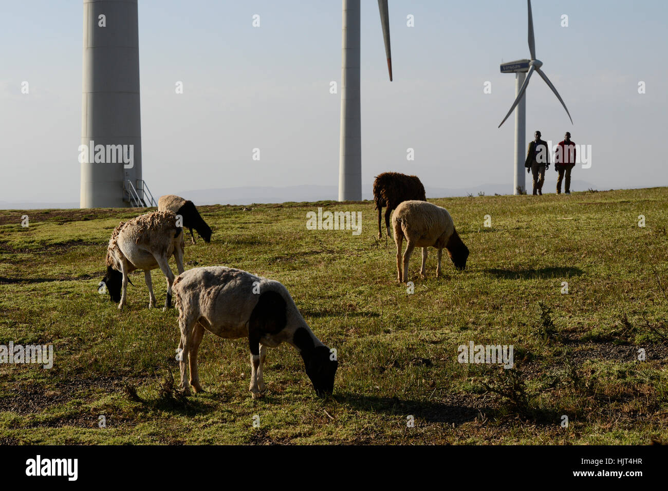 KENYA, Nairobi, Ngong Hills, 25,5 MW Wind Power Station with Vestas and ...