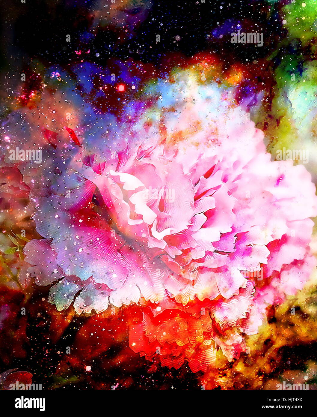 abstract multicolor flower motive collage in space. Carnation flower ...