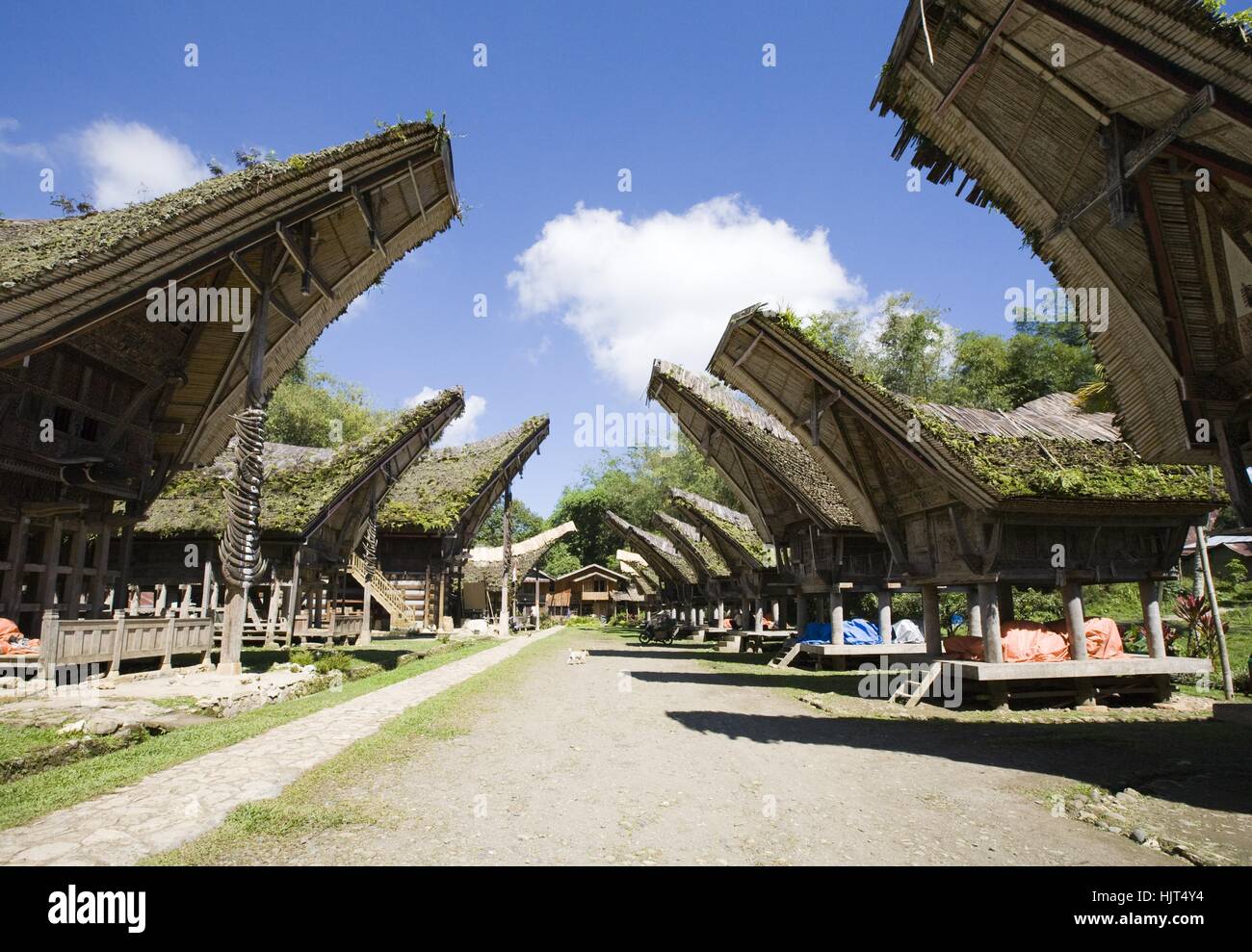 house, building, detail, culture, asia, indonesia, traditional, bamboo ...