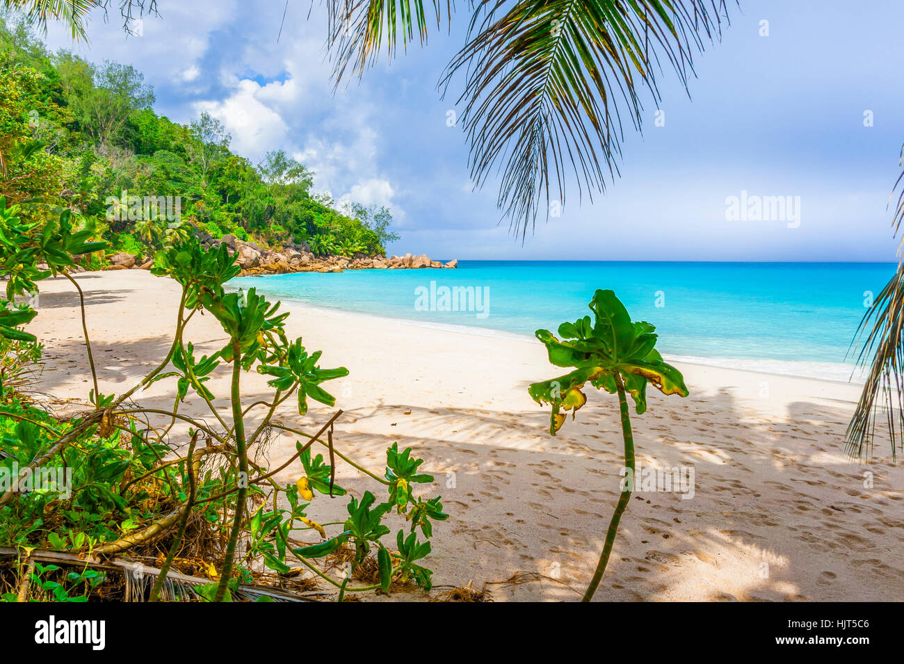 Beach of the Seychelles, Island Praslin, Beach Anse Georgette Stock ...