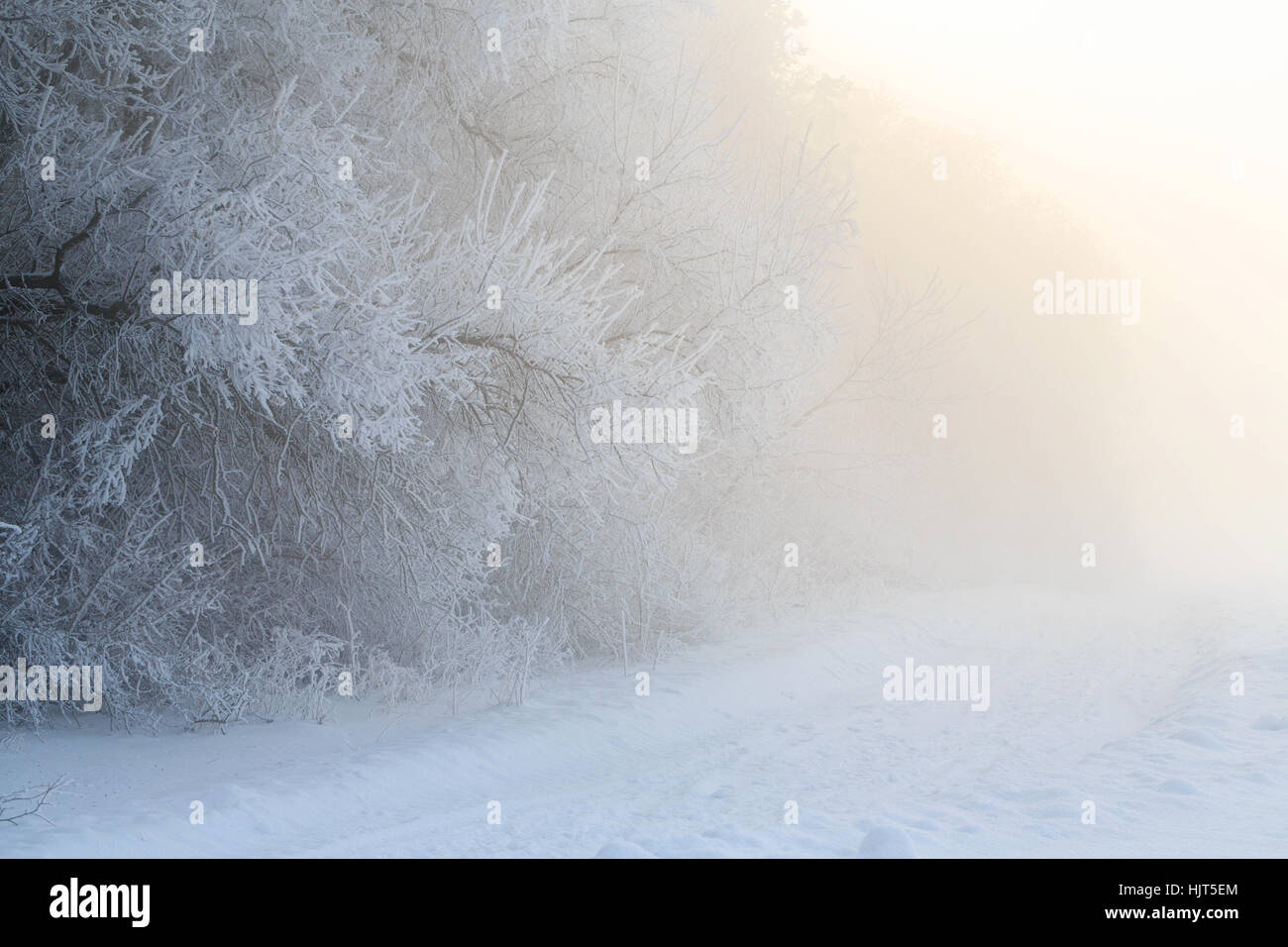 Cold winter day, beautiful hoarfrost and rime on trees Stock Photo - Alamy