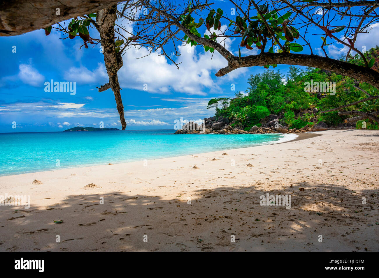 Beach of the Seychelles, Island Praslin, Beach Anse Georgette Stock ...