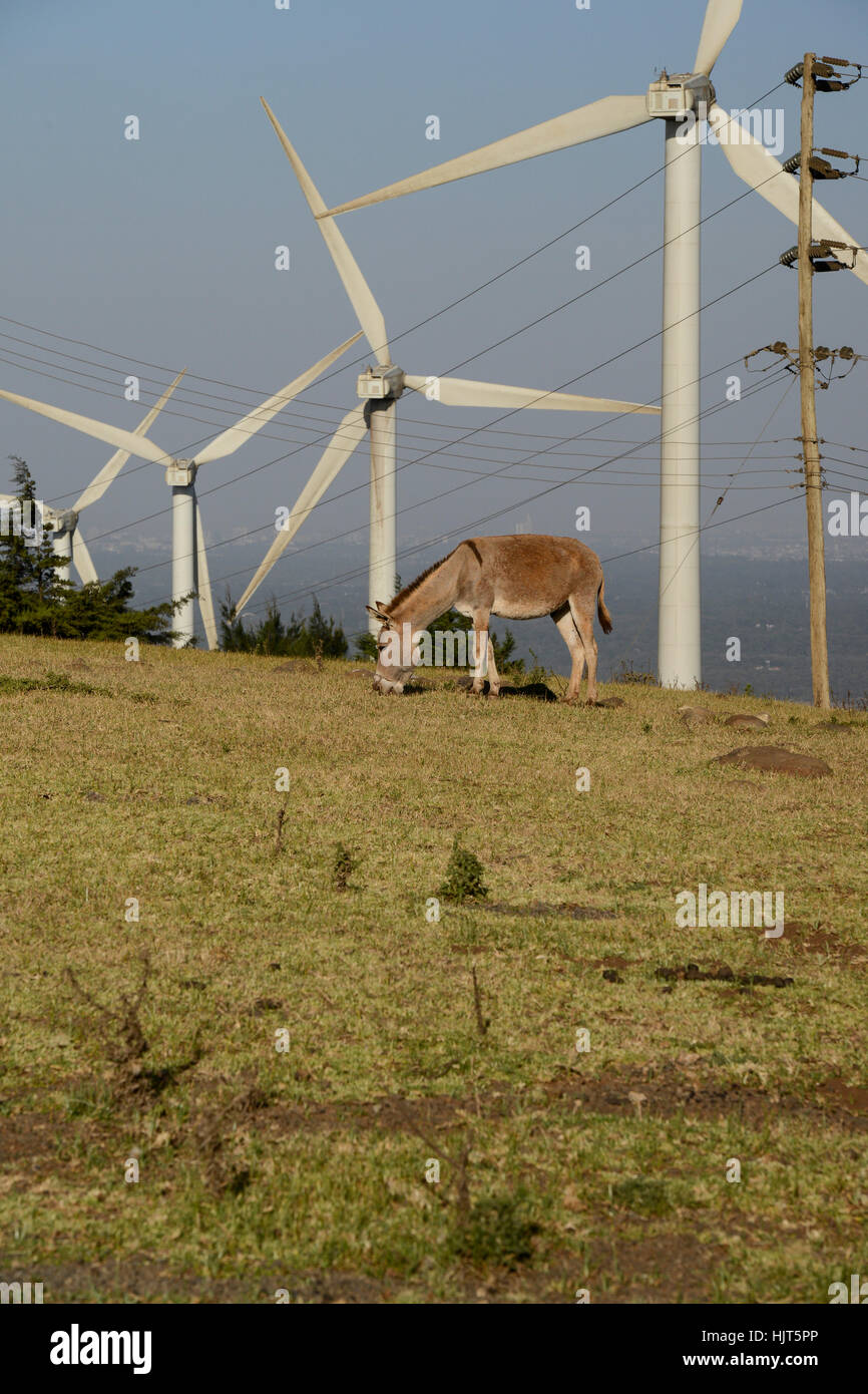 KENYA, Nairobi, Ngong Hills, 25,5 MW Wind Power Station with Vestas and ...