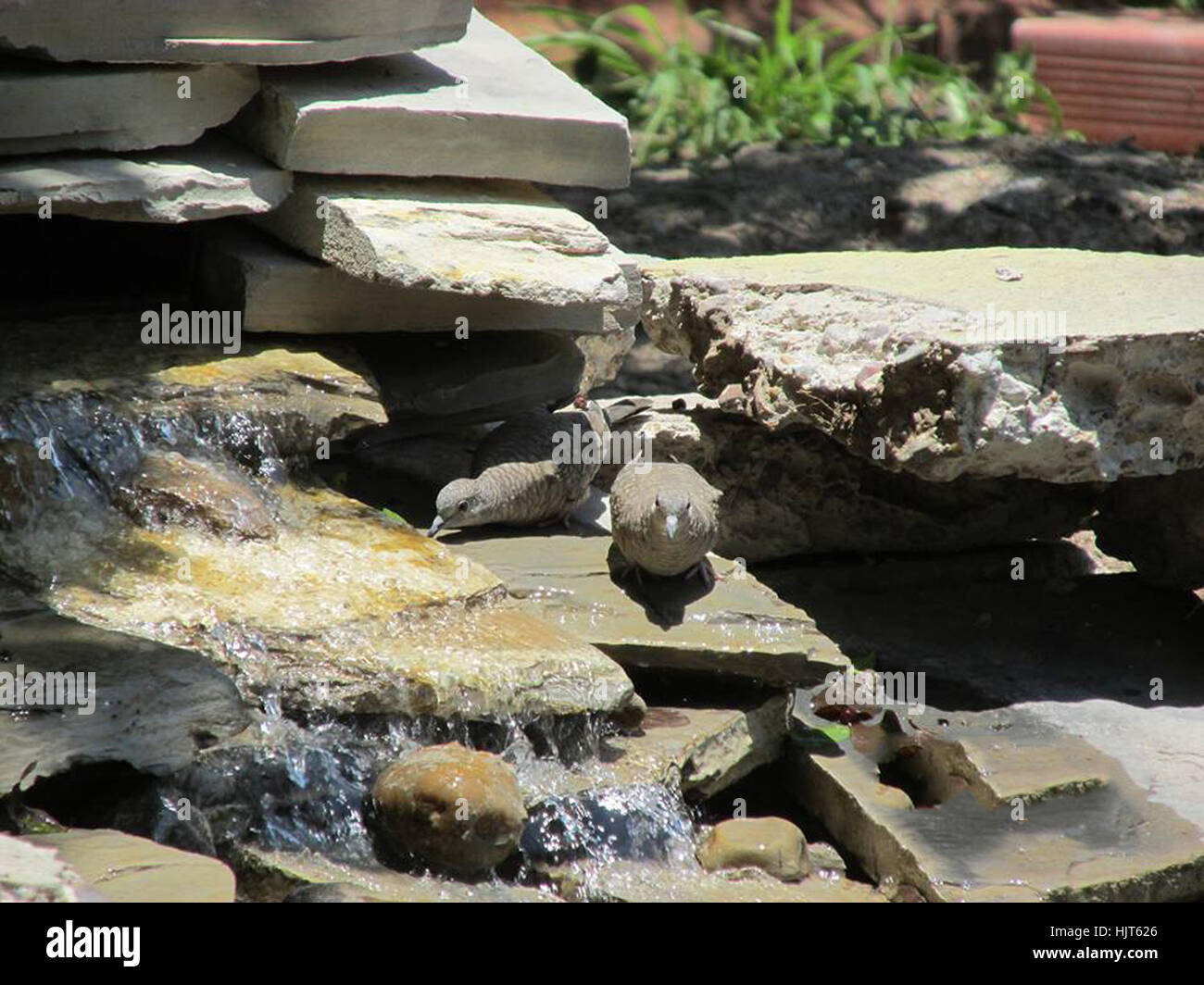 Drinking water alone home hi-res stock photography and images - Alamy