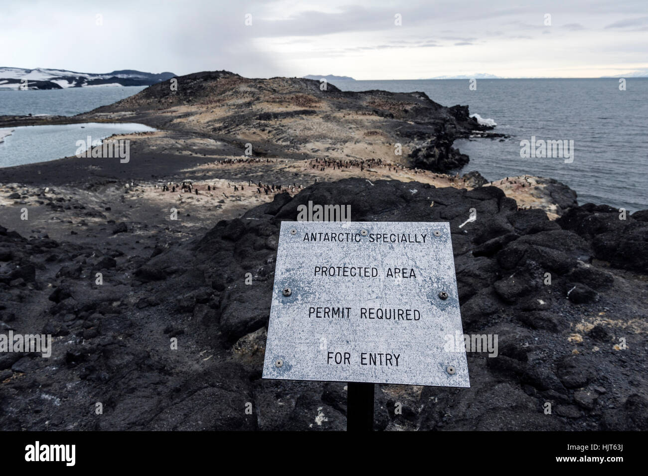 Protected area antarctica hi-res stock photography and images - Alamy
