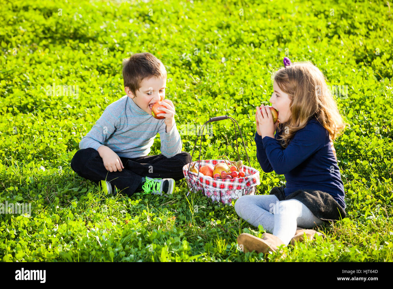 happy kids eating fruits from picnic basket sitting on the green grass ...
