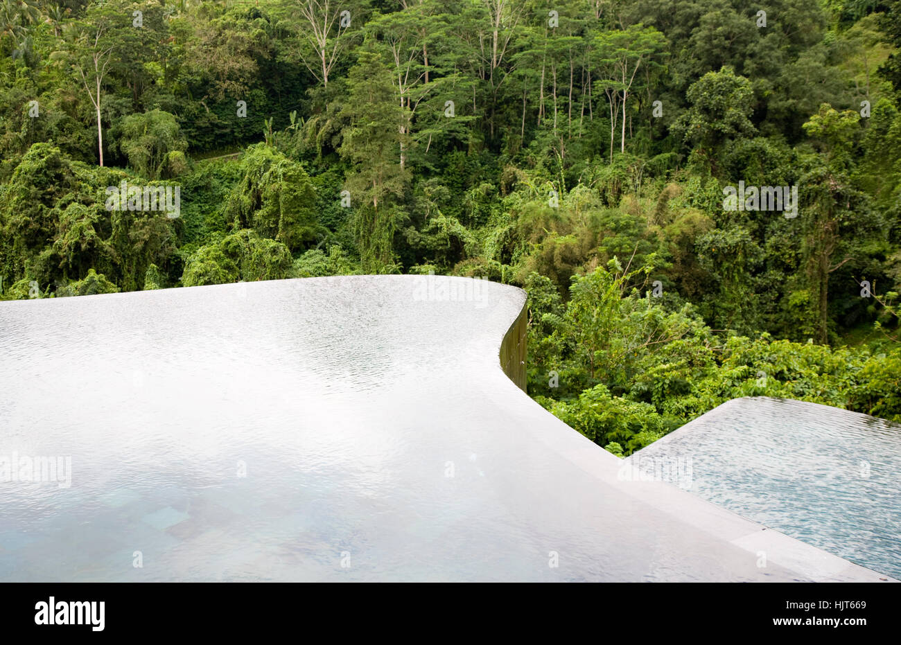 travel, sport, sports, bali, indonesia, jungle, idyllic, pool, swimming ...