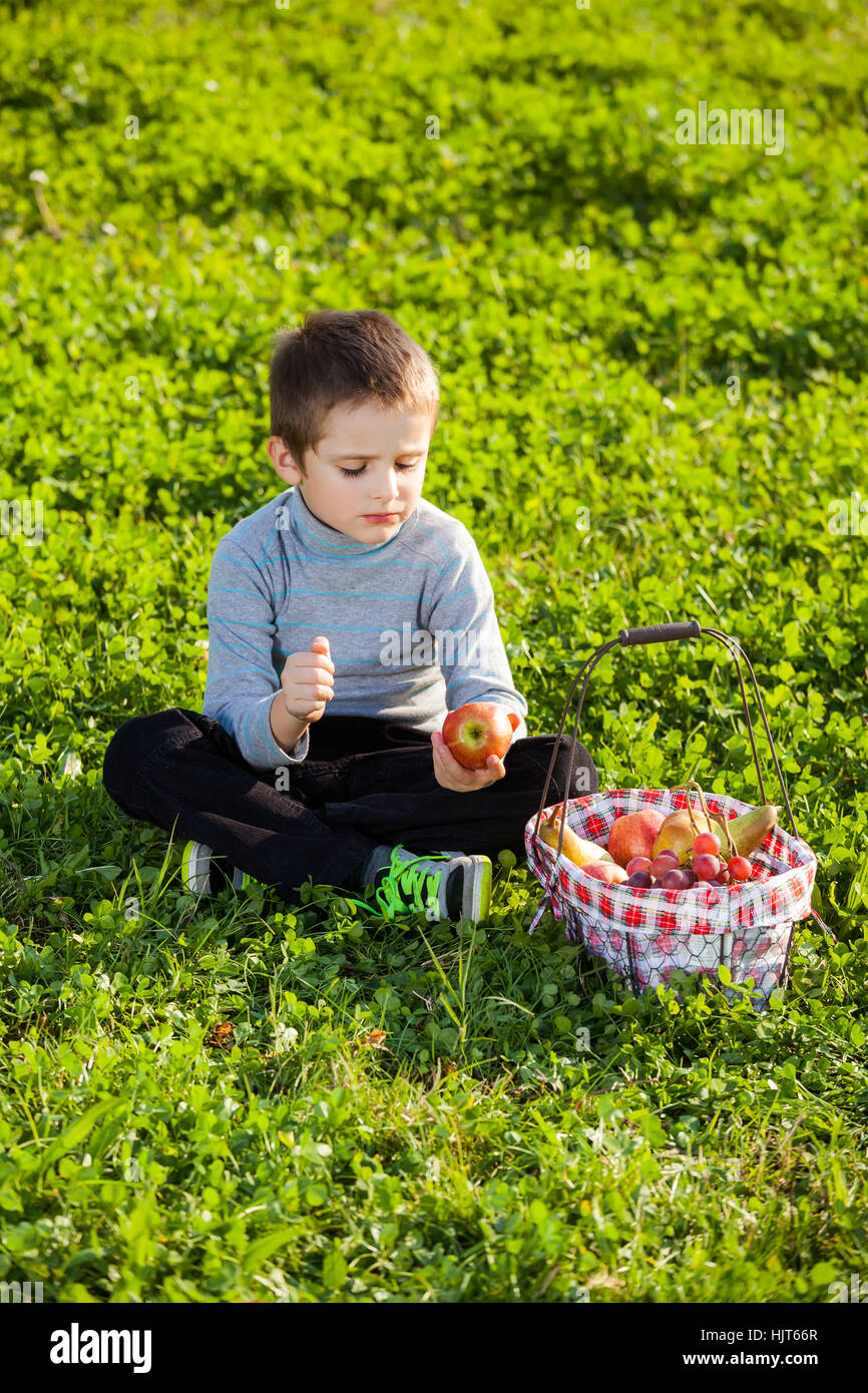 kid eating an apple from picnic basket sitting on the green grass Stock ...