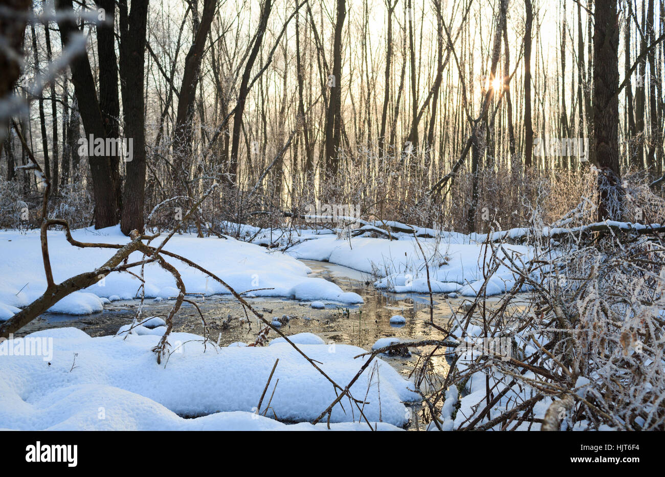 Winter landscape with river in forest Stock Photo - Alamy