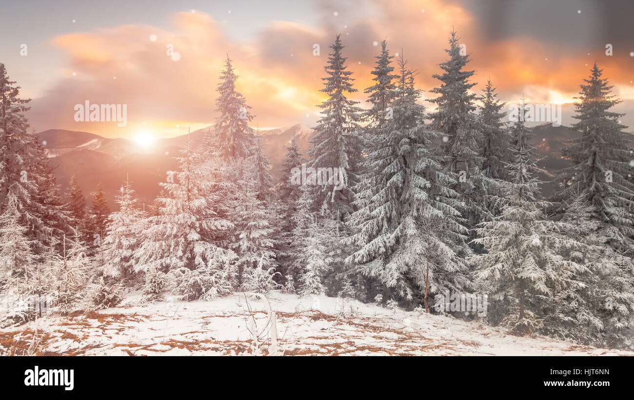 Winter in countryside Stock Photo - Alamy