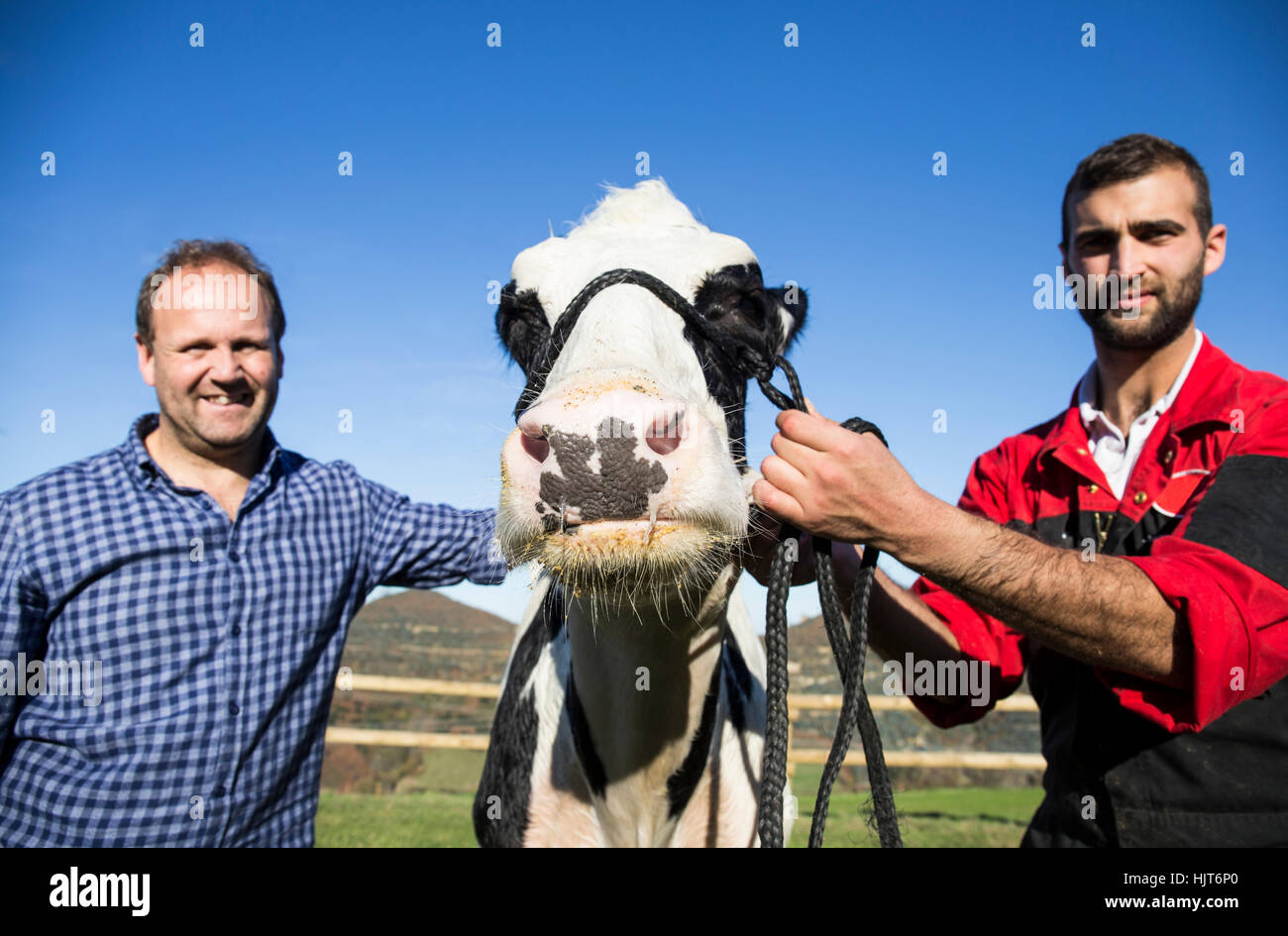 Portrait of two farmers with cow Stock Photo - Alamy