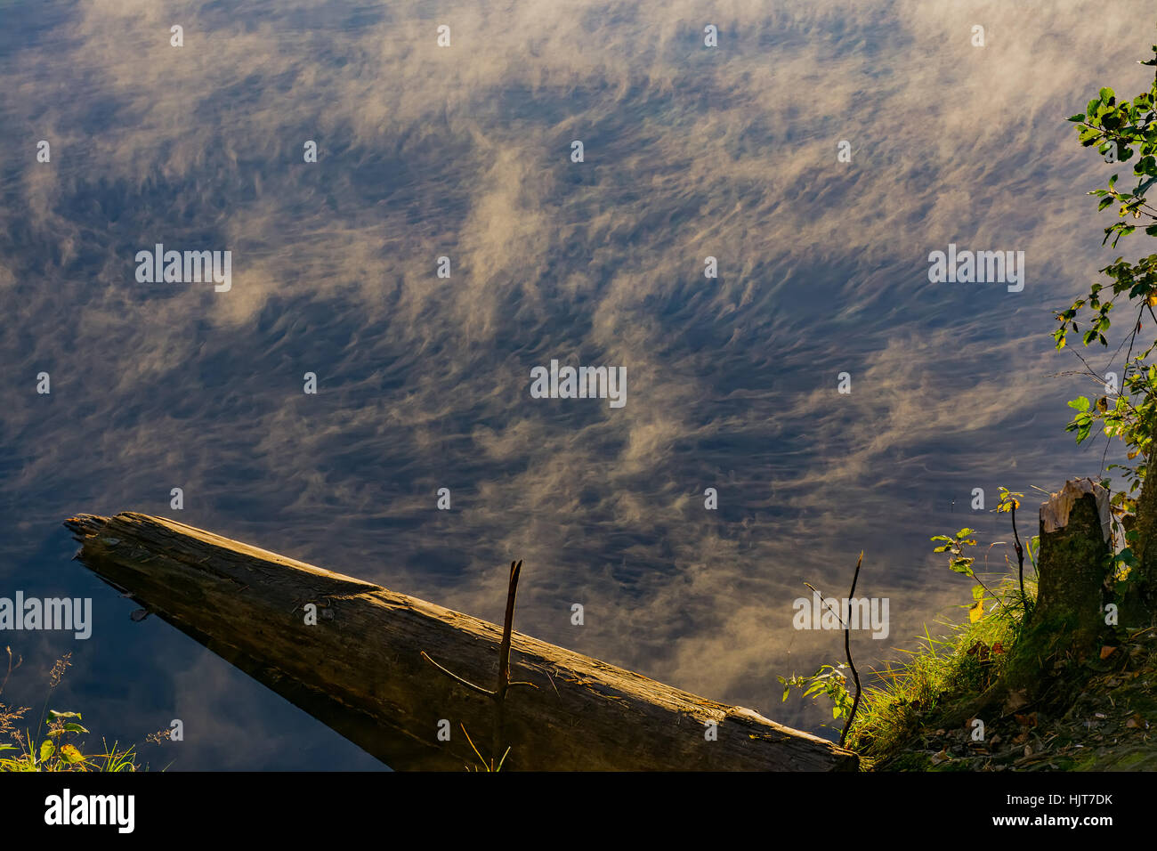 Morning mist on forest lake at dawn Stock Photo - Alamy