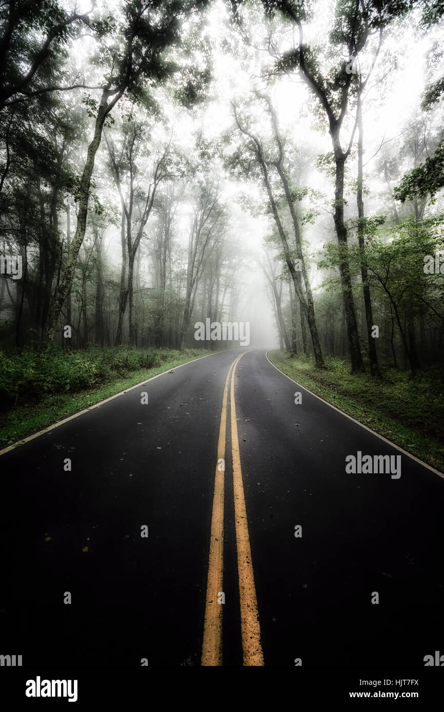 USA, Virginia, empty Blue Ridge Parkway at mist Stock Photo - Alamy