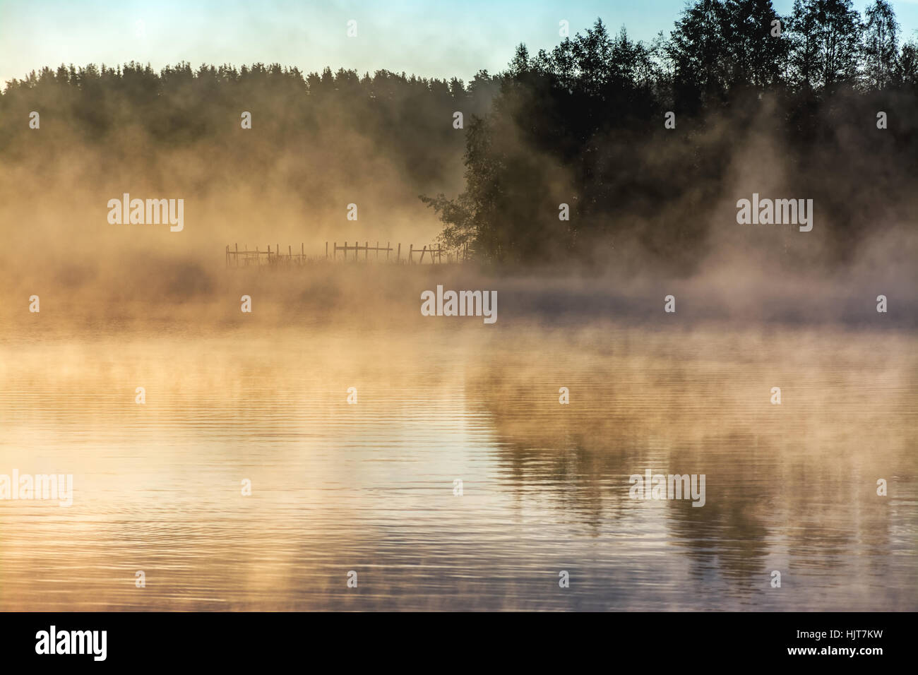 Morning mist on forest lake at dawn Stock Photo - Alamy