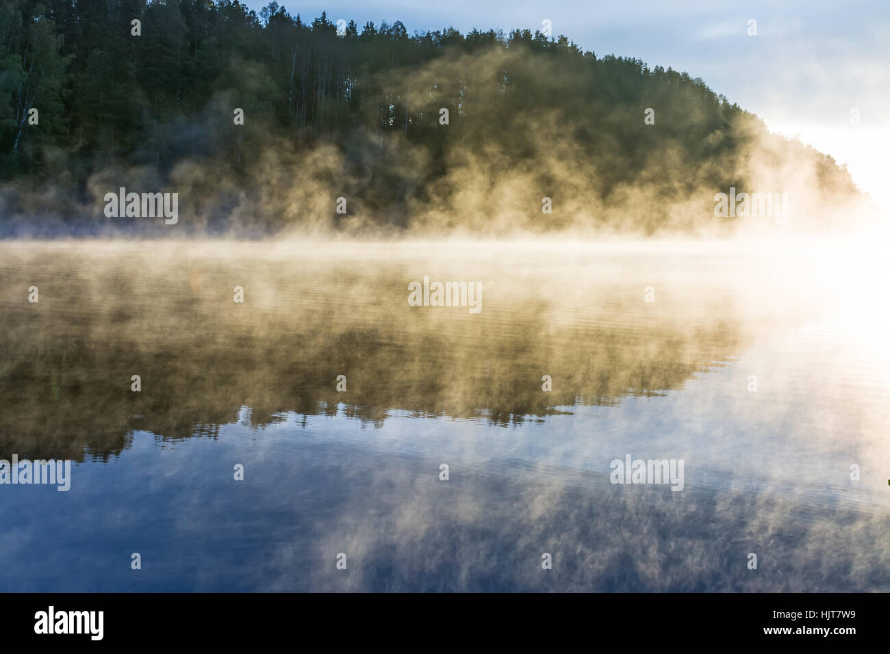 Morning mist on forest lake at dawn Stock Photo - Alamy