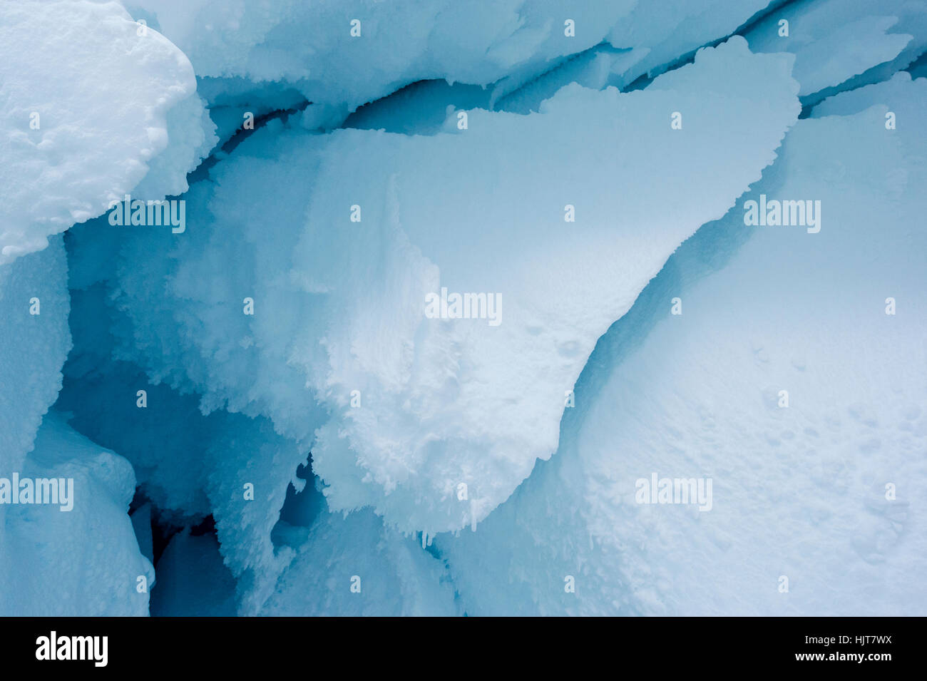 The frozen ceiling and icy walls of an ice cave in the Erebus Glacier ...